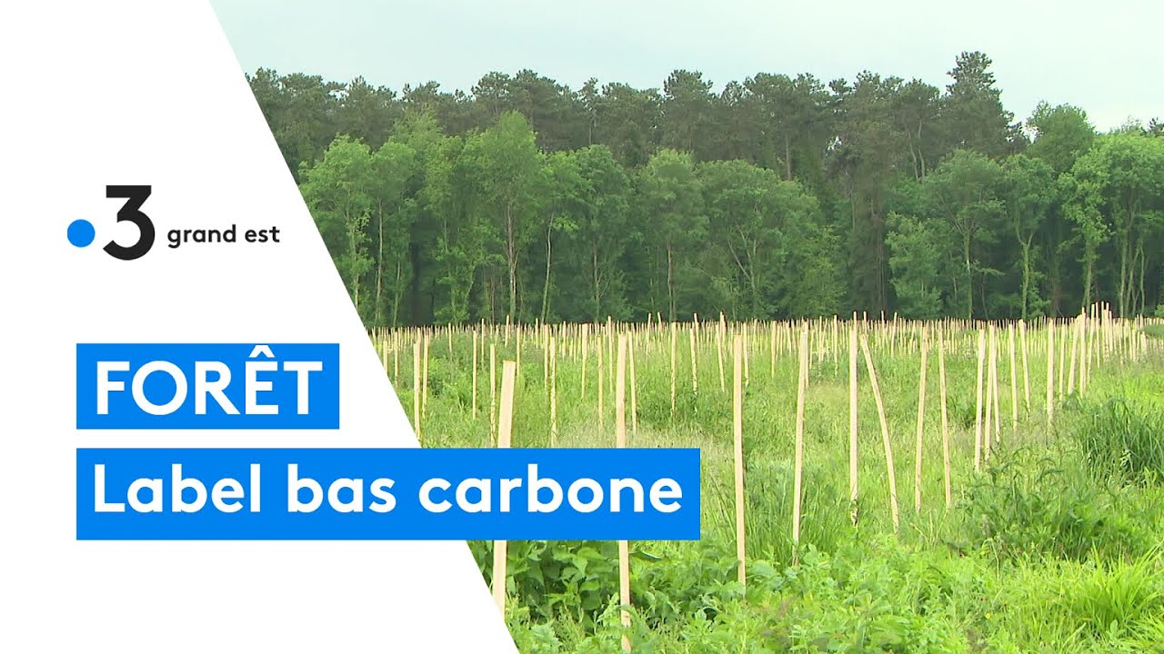 Le label bas carbone - YouTube