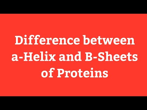Difference between a-Helix and B-Sheets of Proteins | a-Helix | B ...