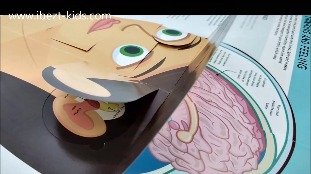 Lift the Flap(Human Body / Space) - YouTube