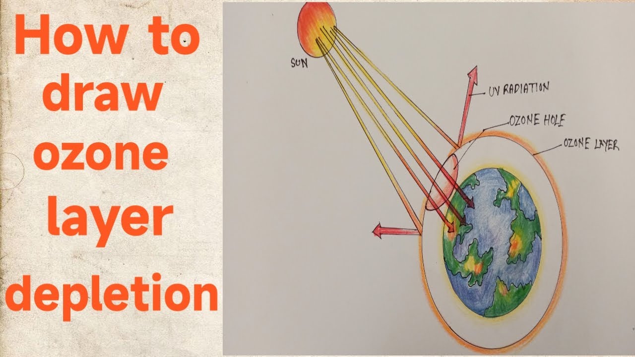 How to draw diagram of ozone layer depletion easily | how to draw ozone ...