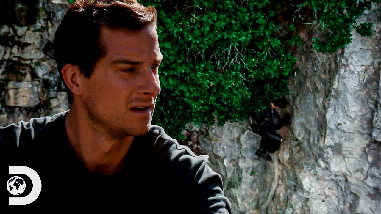 Bear acha o caminho para sair de uma floresta perigosa | À Prova de ...