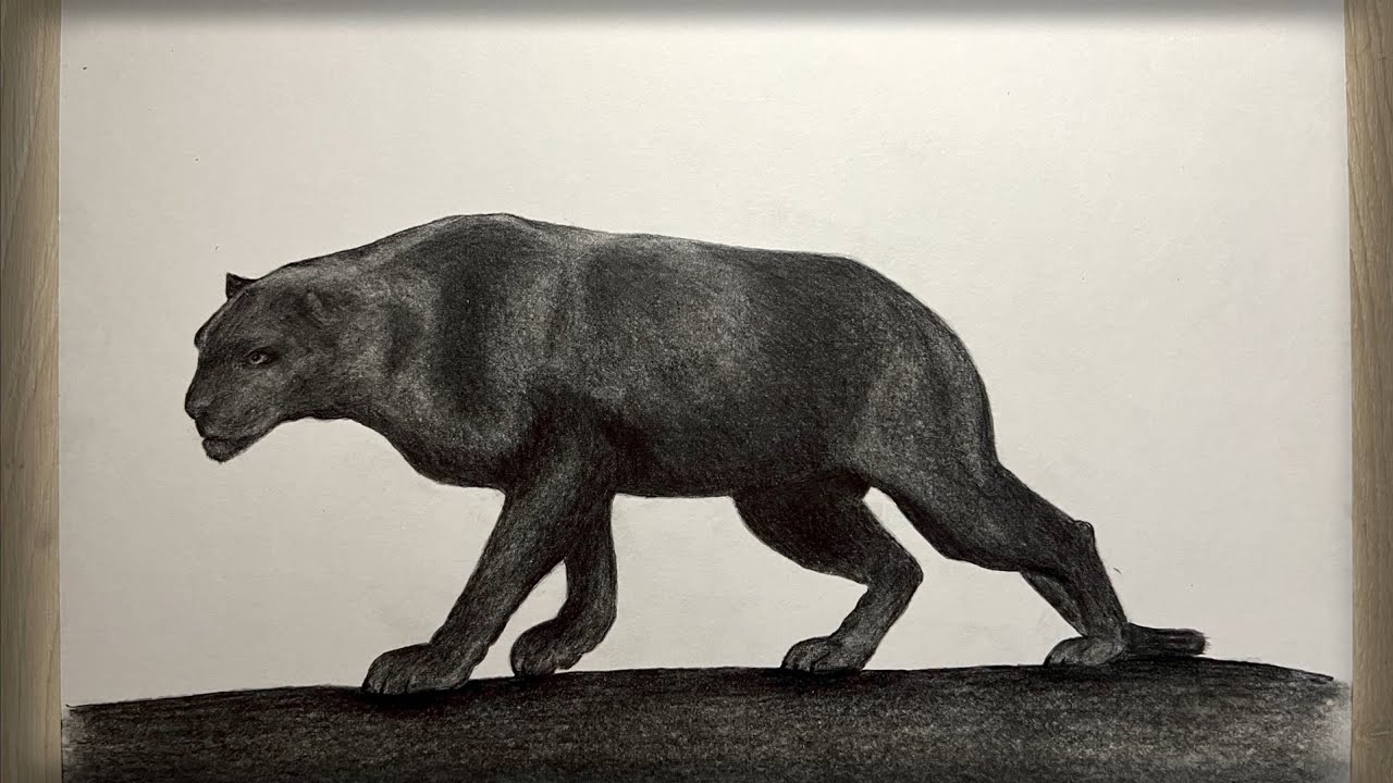 Cómo dibujar una Pantera negra realista|paso o paso|Рисуем Пантеру ...
