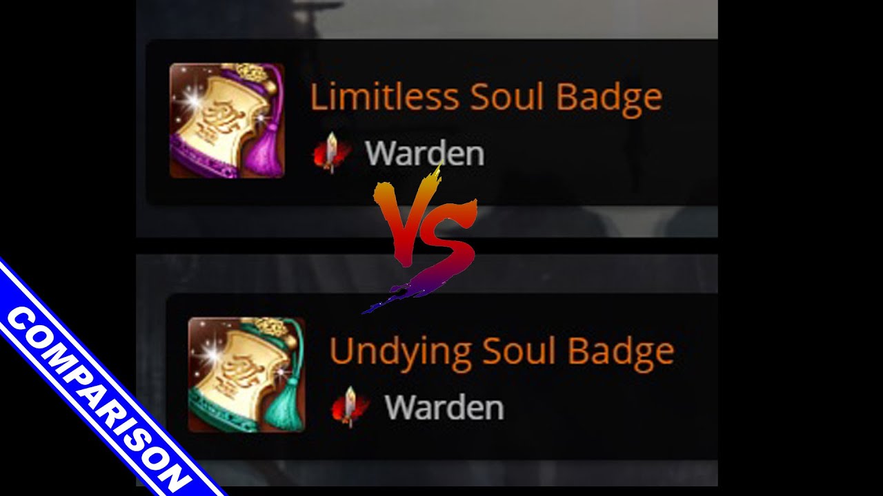 [Blade & Soul] Warden Soul Badge comparison - YouTube