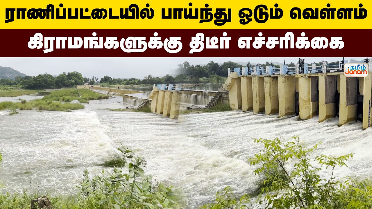 Ranipettai | ராணிப்பட்டையில் பாய்ந்து ஓடும் வெள்ளம்..!கிராமங்களுக்கு ...