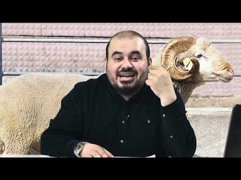 RÜYADA KOÇ GÖRMEK Rüyada koç kesmek Esved Dini Rüya Tabirleri ve Yorumu Rüya Tabiri