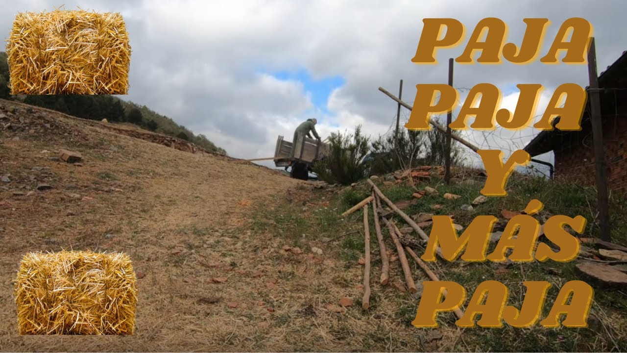 #24 INTERMINABLE la paja que nos queda - YouTube