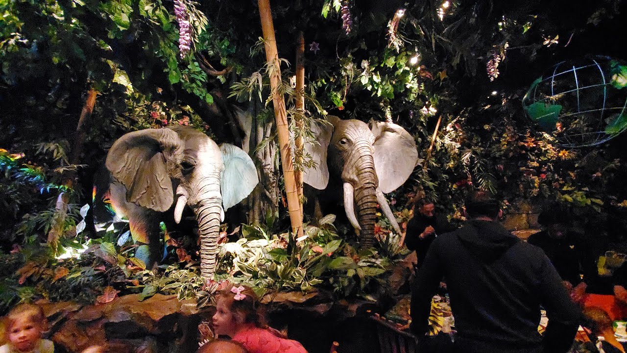 1 МАРТА В ТРОПИКАХ: CAFE RAINFOREST 🍀 MICHIGAN, 2020 - YouTube