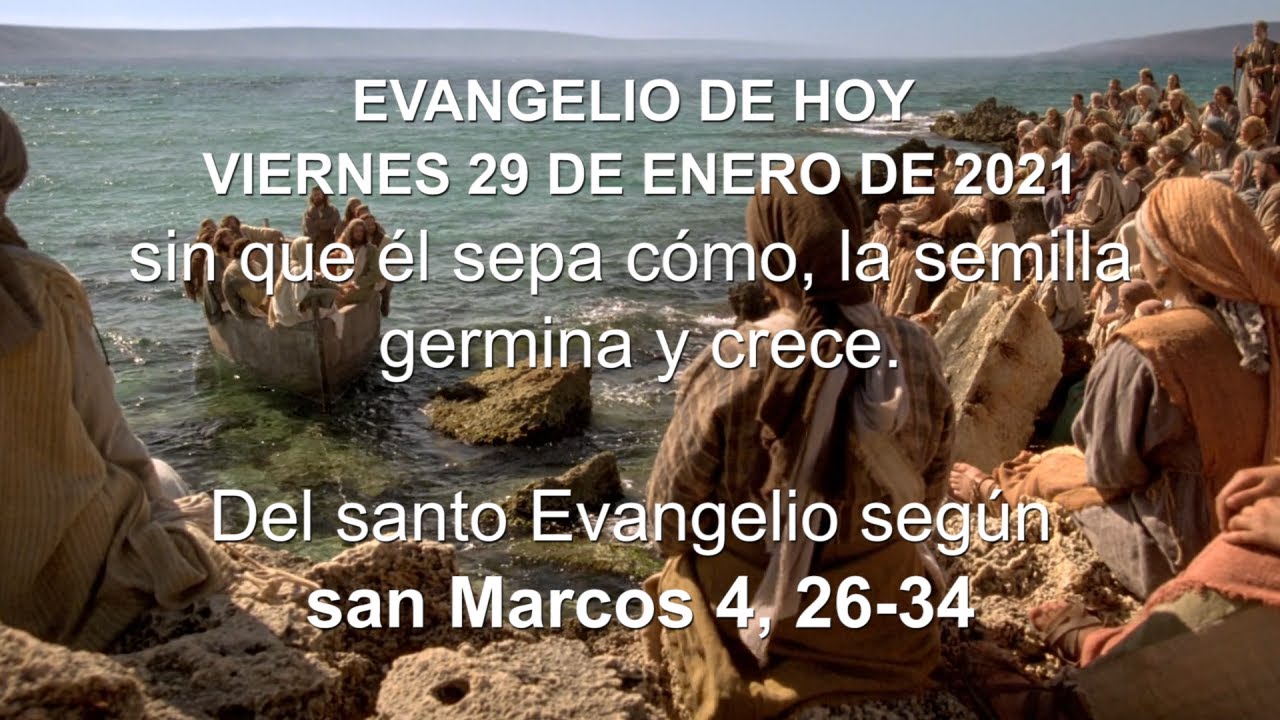 Evangelio según san Marcos 4, 26 34 Lectura y Reflexión, viernes 29 de ...