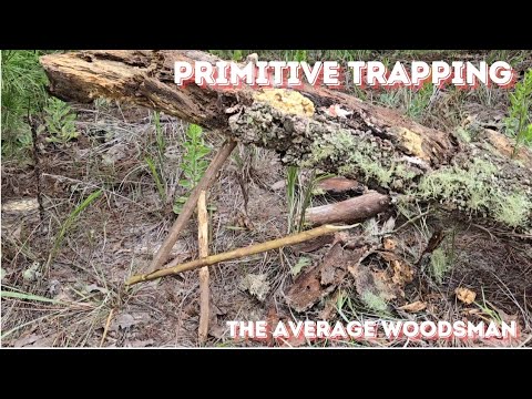 Primitive Trapping - YouTube