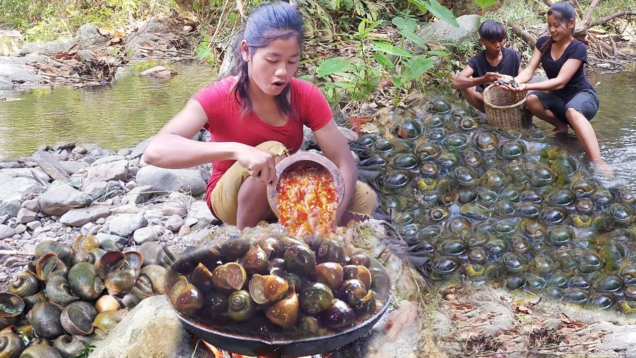 Survival Food catching river Snails and cooking using wild recipe with ...