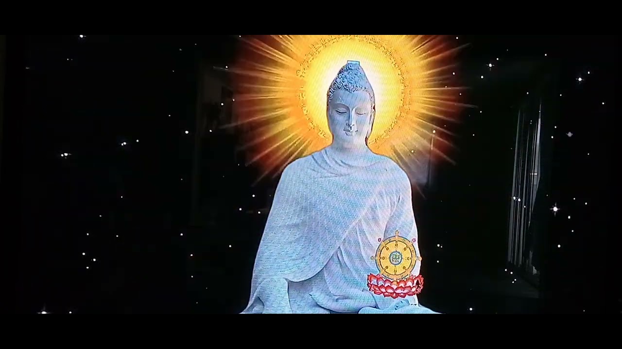 jackie tran phim.phat.movie.stars.holywood - YouTube
