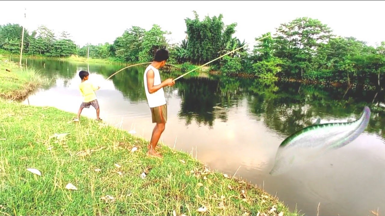 Fishing Video || Part- 46 )Fishing videos: Best hook fishing Assam ...