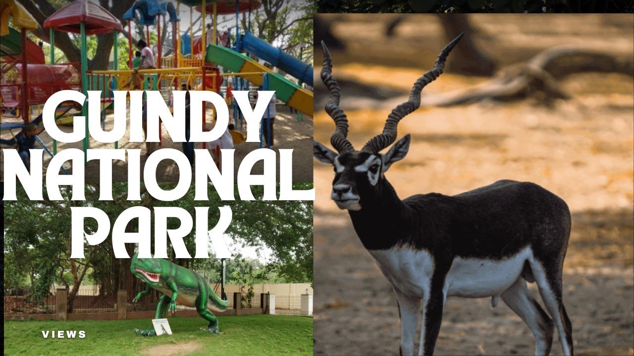 Guindy National Park Tourist places Chennai Tour |Zoo Park #chennai ...