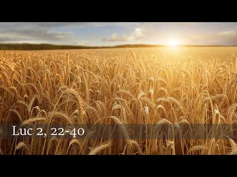 Évangile du jour : Évangile selon Saint-Luc - Lc 2, 22-40