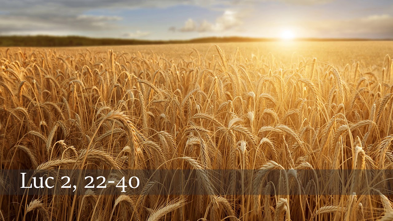 Évangile du jour : Évangile selon Saint-Luc - Lc 2, 22-40 - YouTube