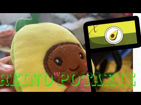 🥑El reino potaxie primer episodio🥑 - YouTube