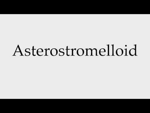 How to Pronounce Asterostromelloid