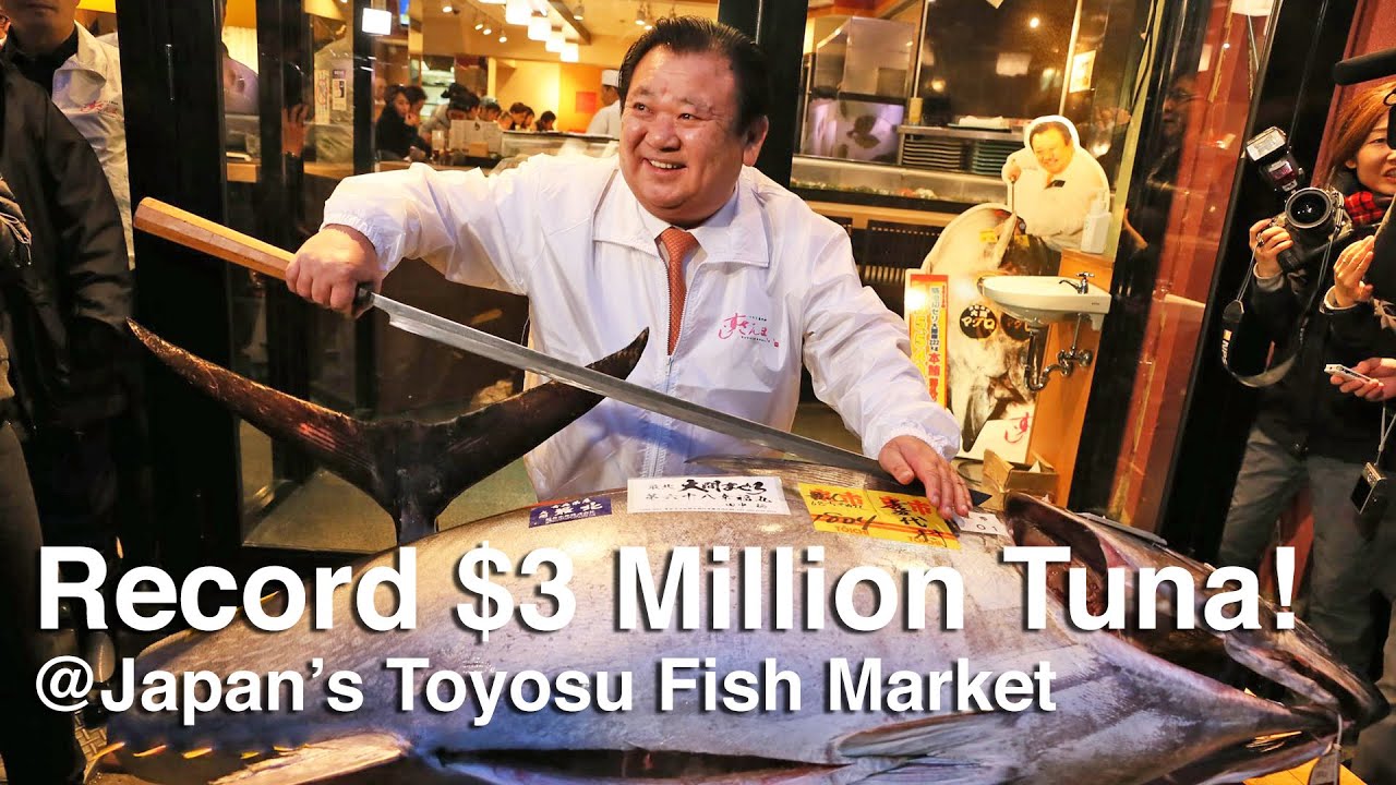 Toyosu Fish Market Tuna Auction - Bluefin Tuna sells for record $3 ...