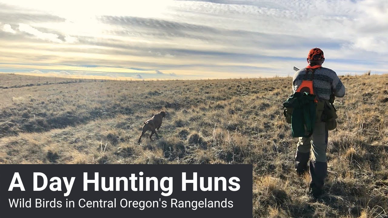 A Day Hunting Huns - YouTube