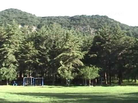 Tarimoro Gto. El Galan. - YouTube