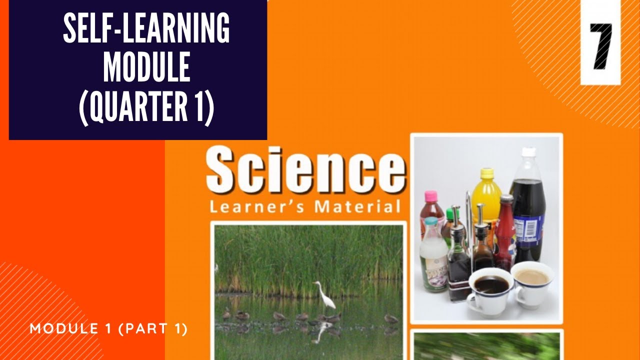 Science 7| Module 1: Scientific Method Part 1|Quarter 1 SELF-LEARNING ...