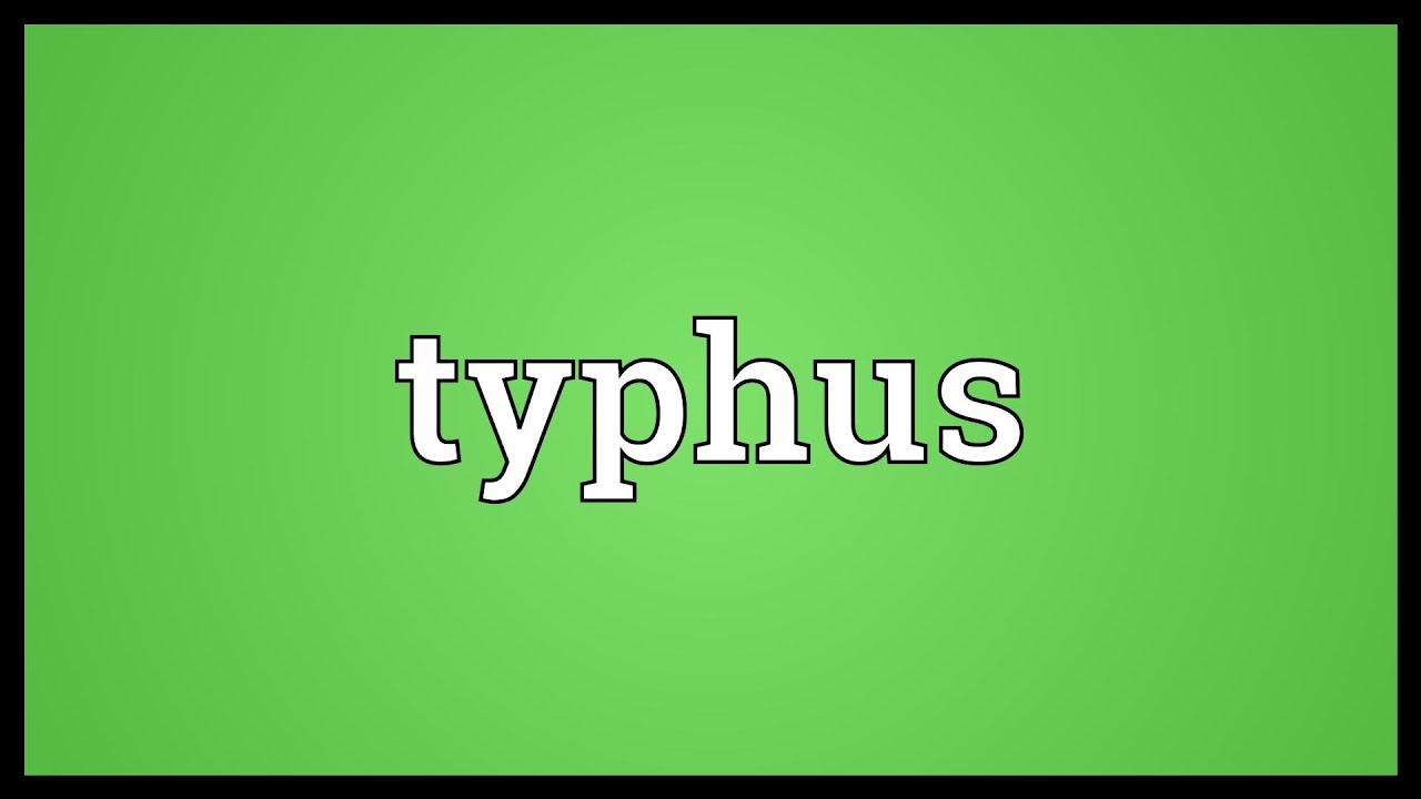 Typhus Meaning - YouTube