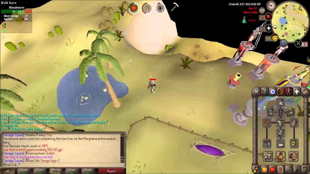 OSRS | Iron Cub | Ironman Progress Series | EP 15 'I can always use ...