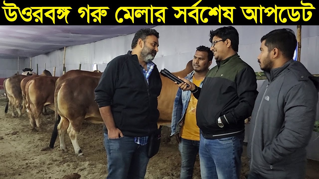 উওরবঙ্গ গরু মেলার সর্বশেষ আপডেট জানুন। মেলায় যেসব আকর্ষন থাকছে জানুন ...