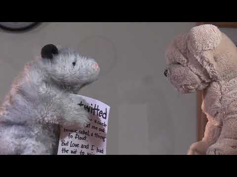 Possum Feels Stressed, part three - YouTube