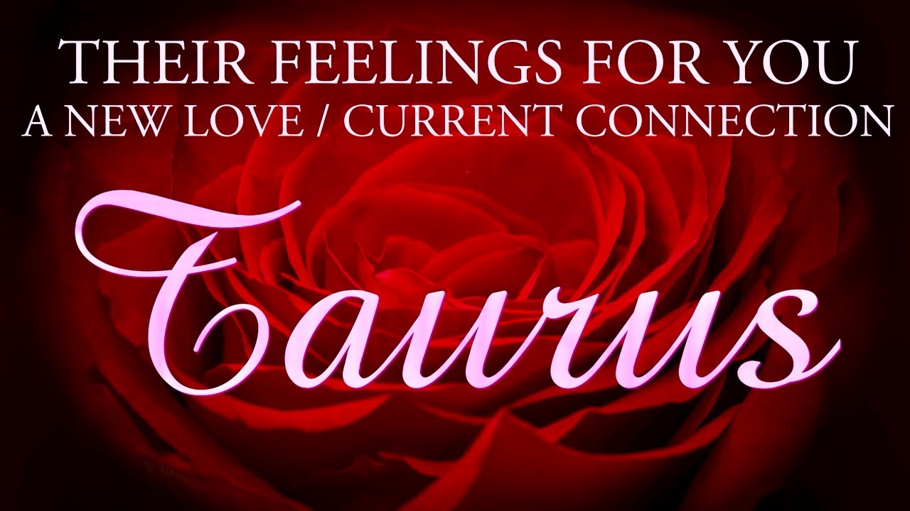 TAURUS love tarot ♉️ This Person Wants To Tell You How They Feel About You Taurus They Care For ...