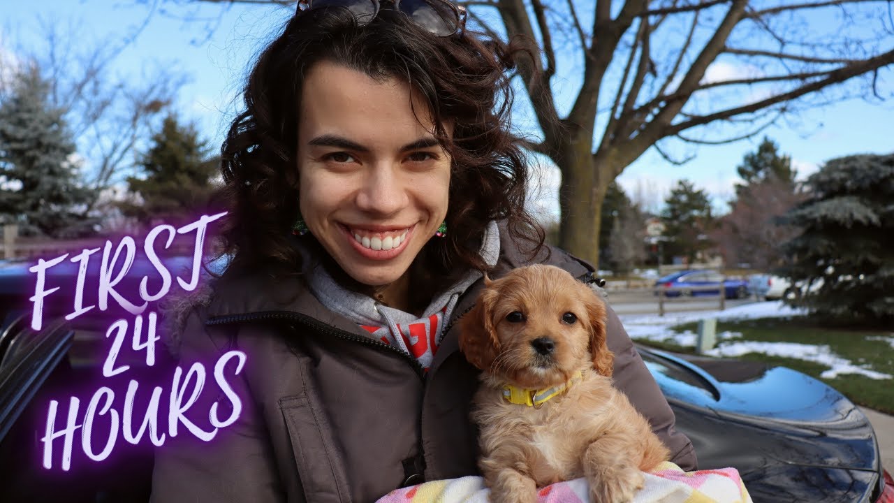 Cavapoo Puppy's First Full Day at Home | 2 Month Old Puppy - YouTube
