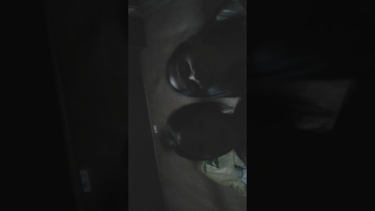 Trick My Sister Youtube