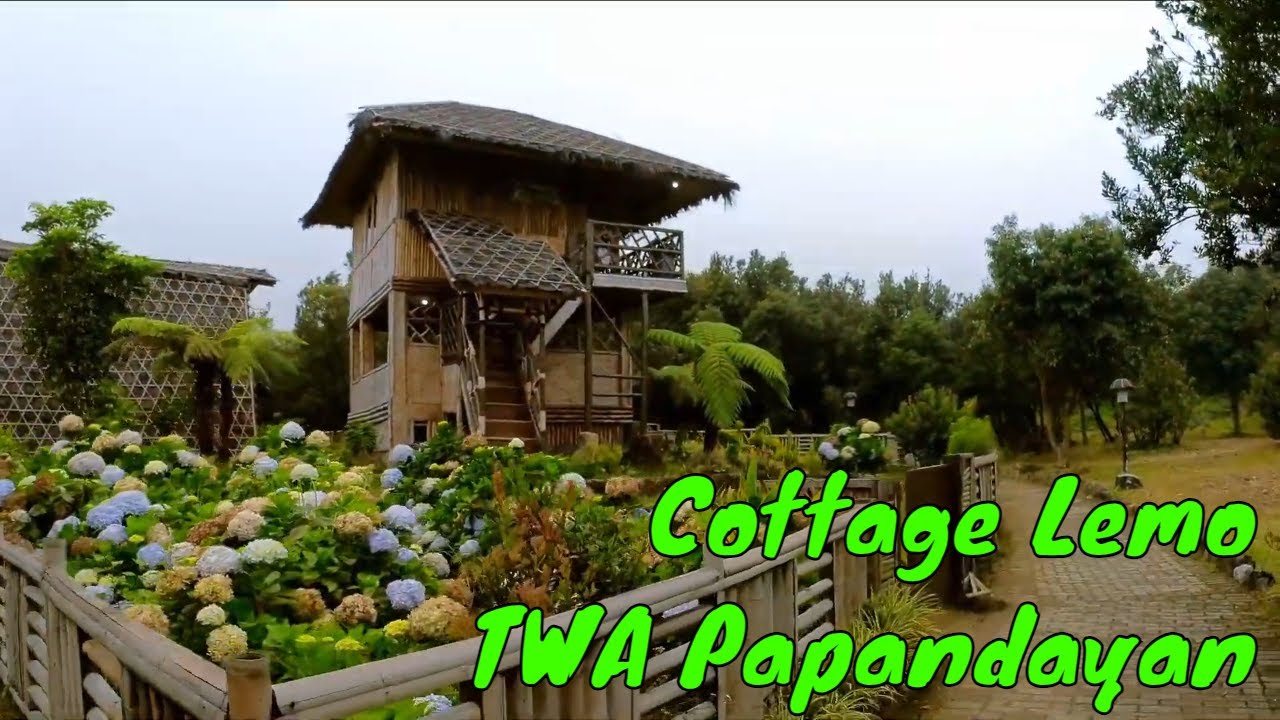 Taman Wisata Papandayan 2023 - Cottage Lemo Camp David - YouTube