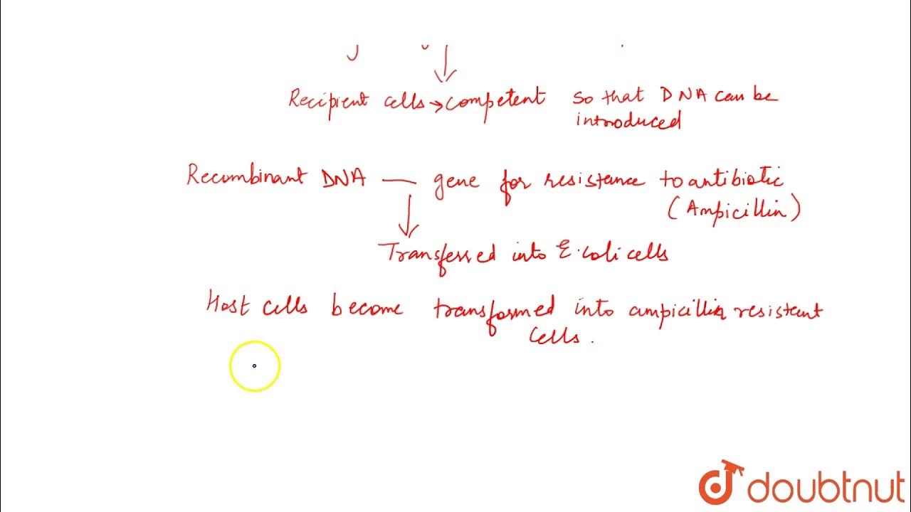 INSERTION OF RECOMBINANT DNA INTO THE HOST CELL/ORGANISM - YouTube