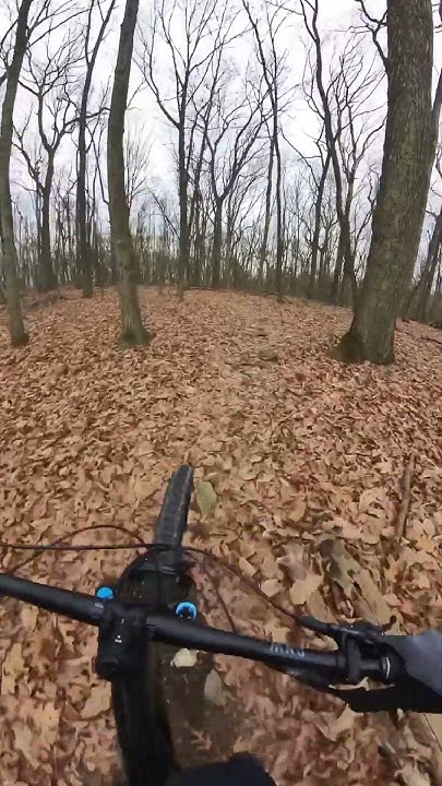 Mountain biking through the woods #mtb #mtblife #mountainbike - YouTube