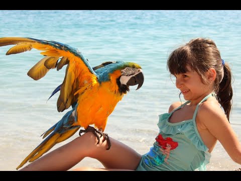 LİNA İLE DENİZDE BİR GÜN VLOG!