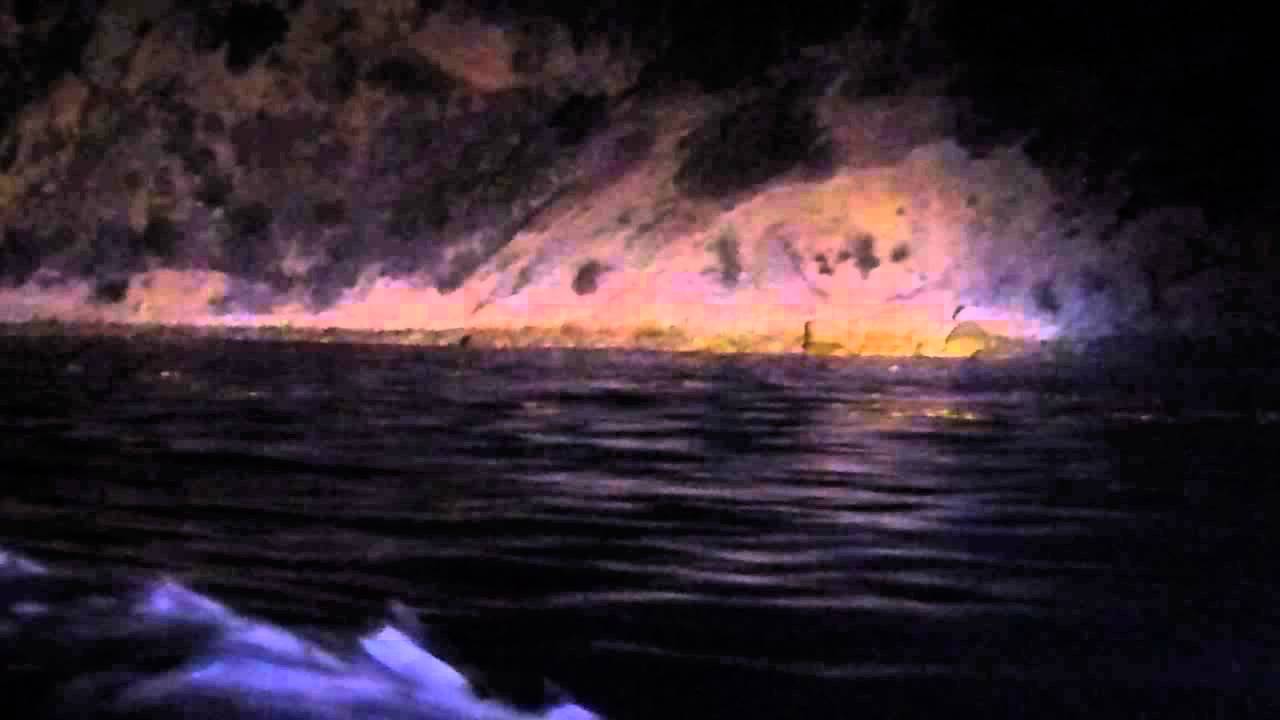 Santa Catalina Island Flying Fish Boat Trip 2 - YouTube