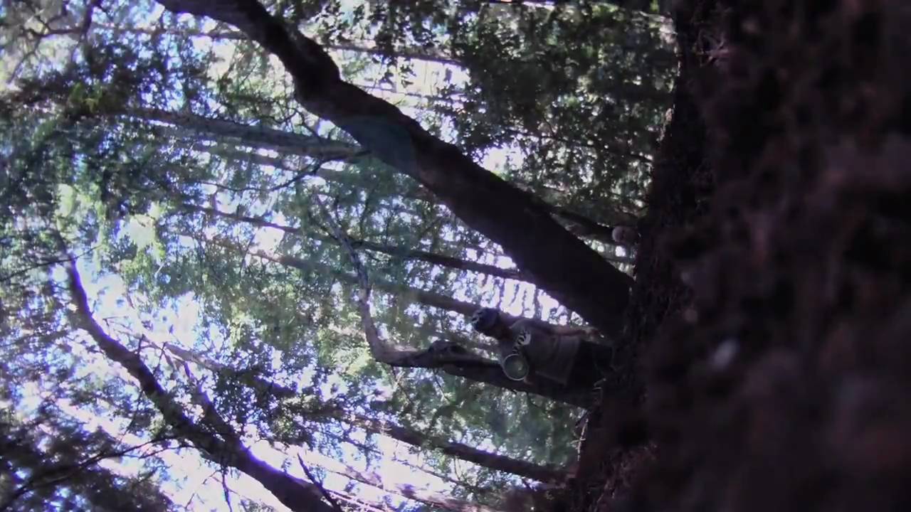 Mark Weir Teaser - YouTube