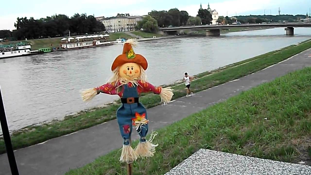 STRACH NA WRÓBLE - YouTube