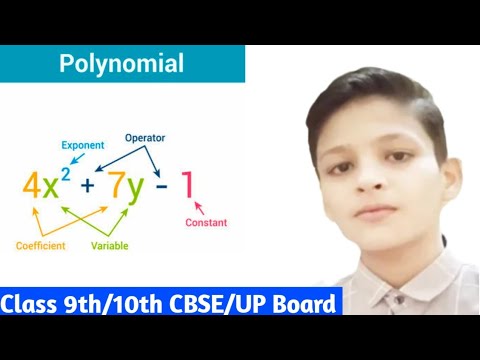Polynomials || Chapter 2 Mathematics || Class 9th-10th || - YouTube