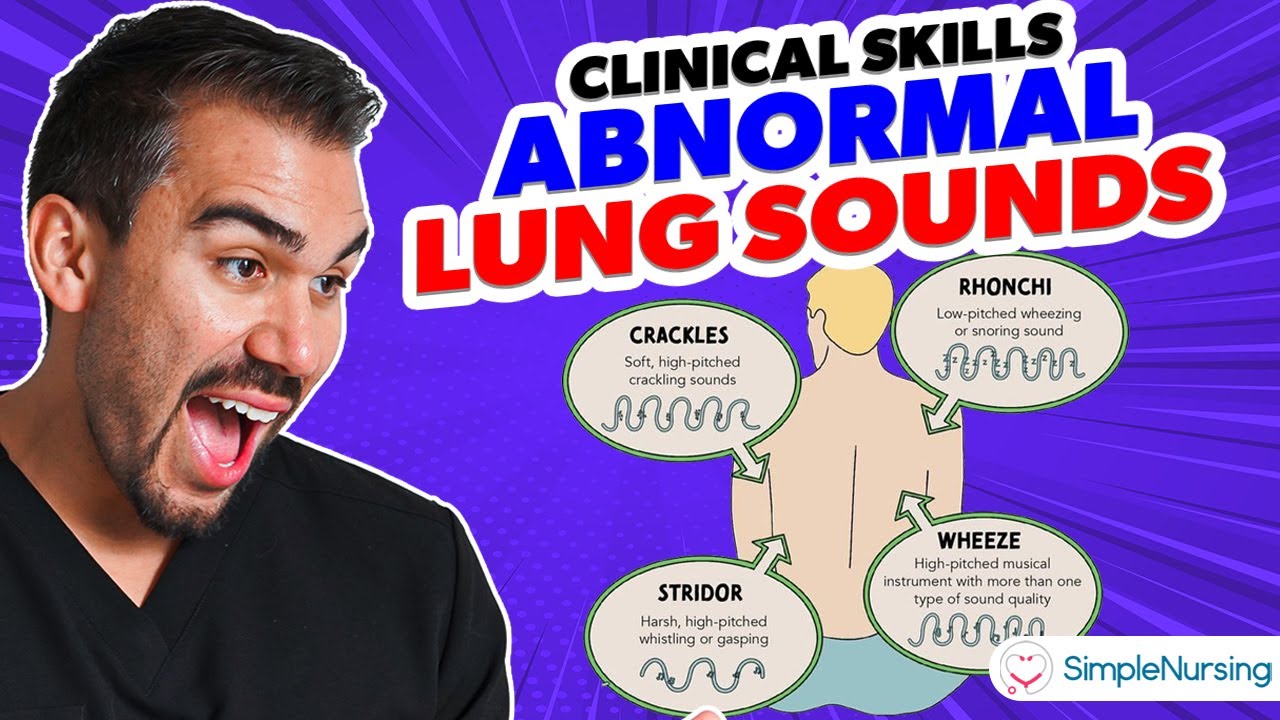 Lung Auscultation for Nursing Students: Identify and Interpret Abnormal ...