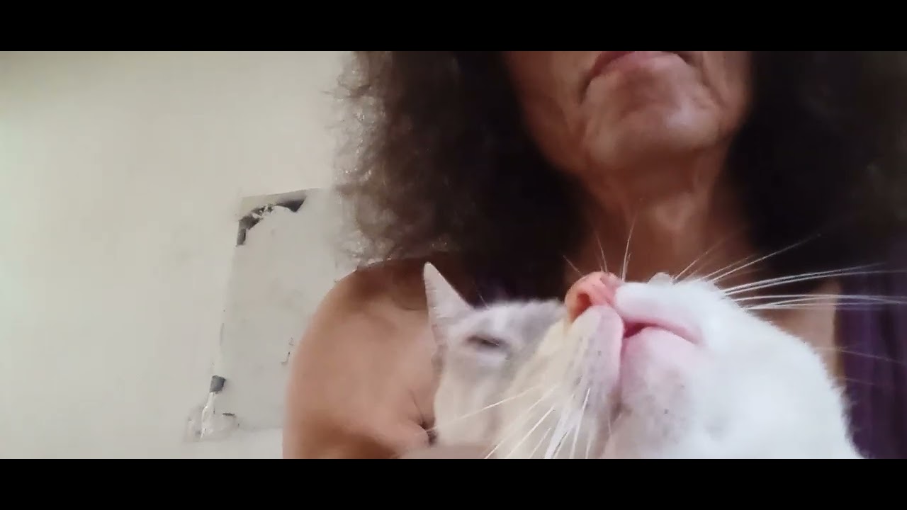 YO, EL GATO (lecturas 1) - YouTube