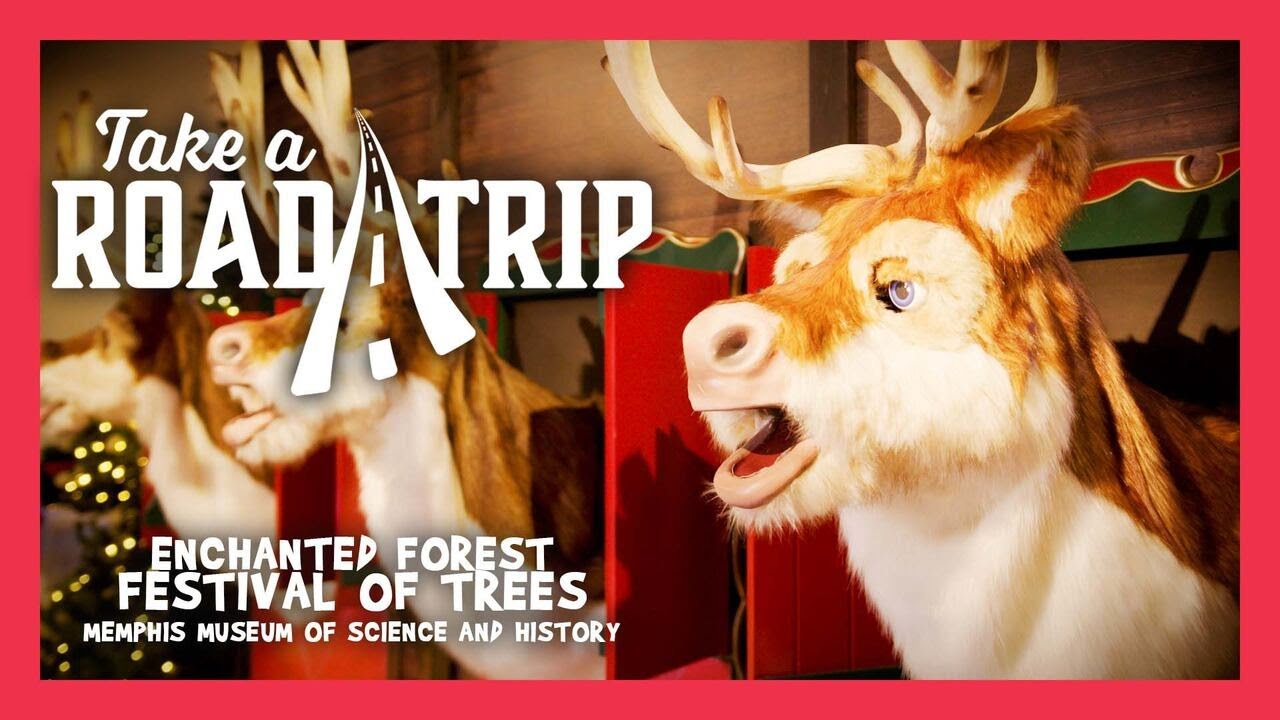 BE AMAZED BY AN ENCHANTED FOREST! This Christmas destination is great ...