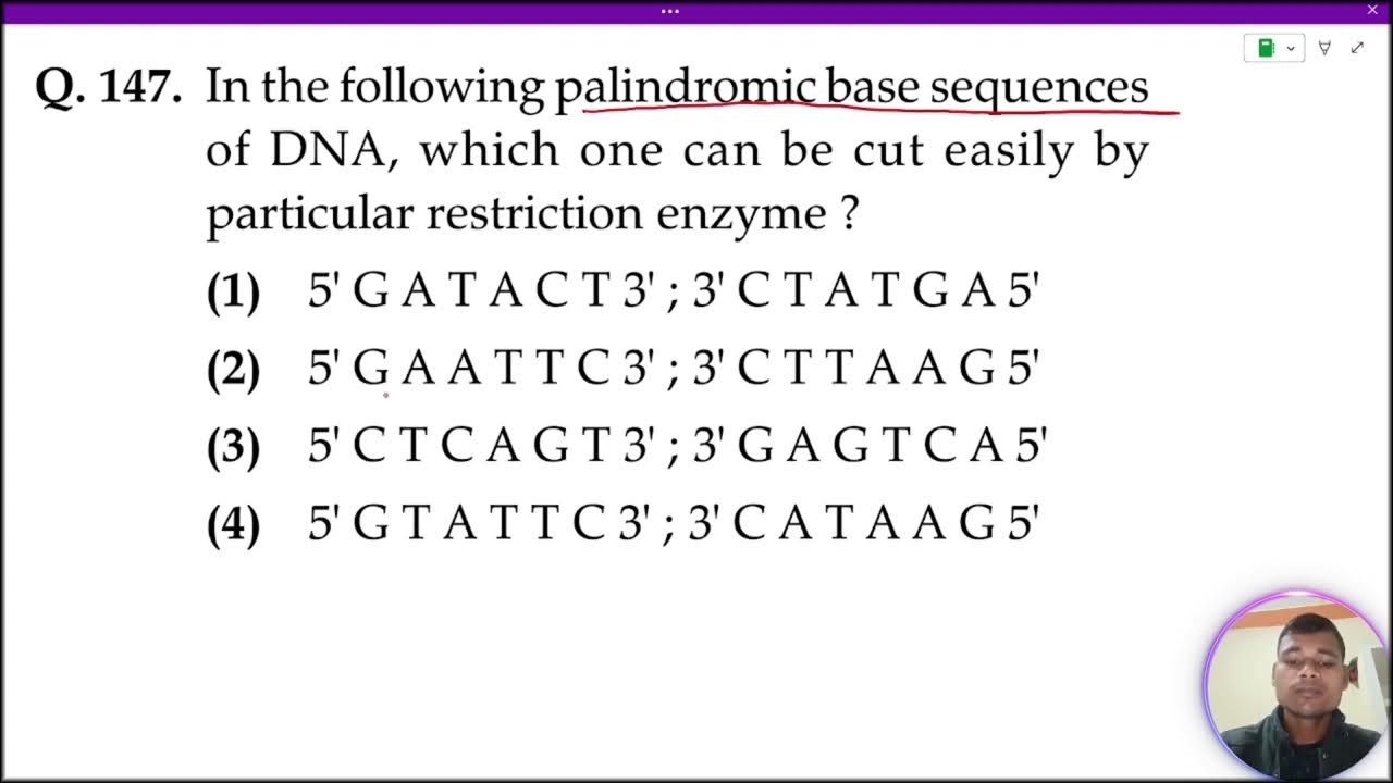 In the following palindromic base sequences of DNA, which one can be ...