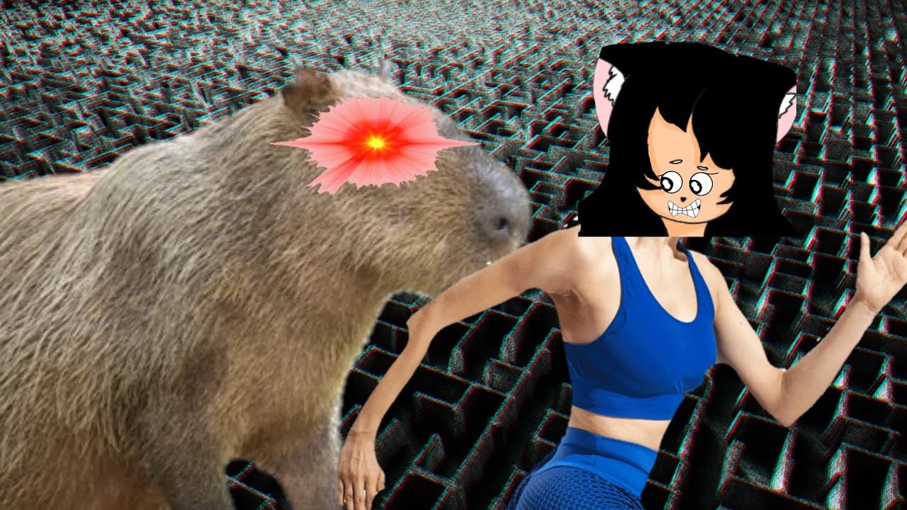 fuja da capivara louca(escape the capybara) - YouTube