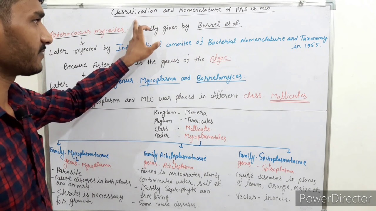 Classification and nomenclature of PPLO or MLO(class 11th, NEET,B.sc.,M ...