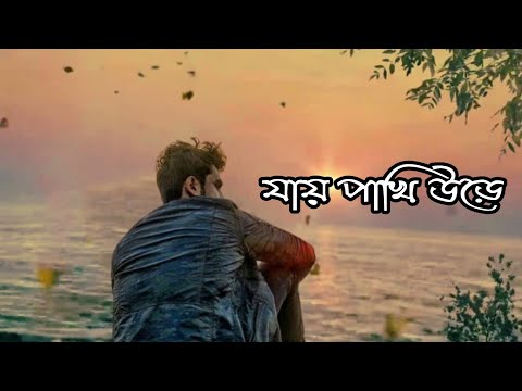 Jaye Pakhi Urey (যায় পাখি উড়ে) WhatsApp Status