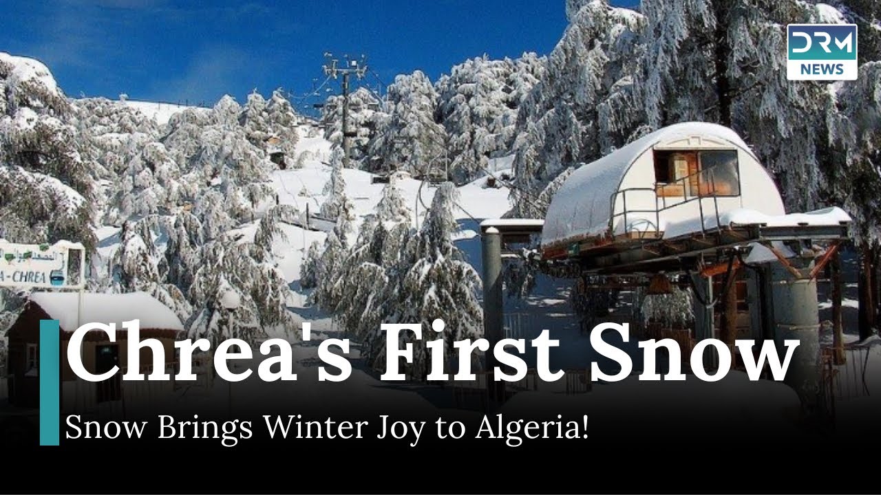 Chrea Mountains Snow Brings Joy to Algerians Amid Late Winter | DRM ...