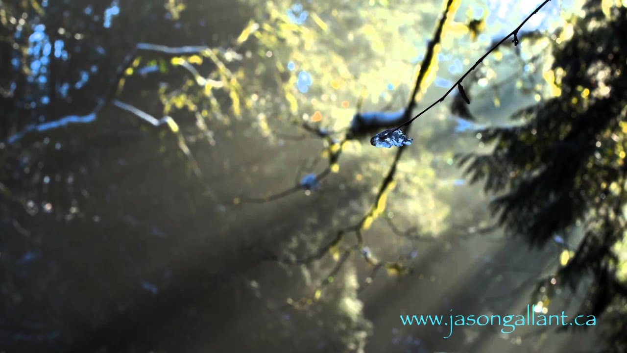 The Photography of Jason Gallant - YouTube