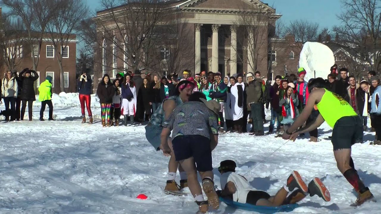 Winter Carnival Highlights: Human Dog Sled Race - YouTube